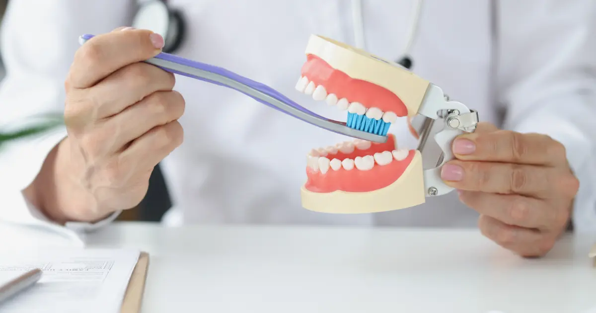 What Is a Periodontist and What Does It Do? - Zenit Dent